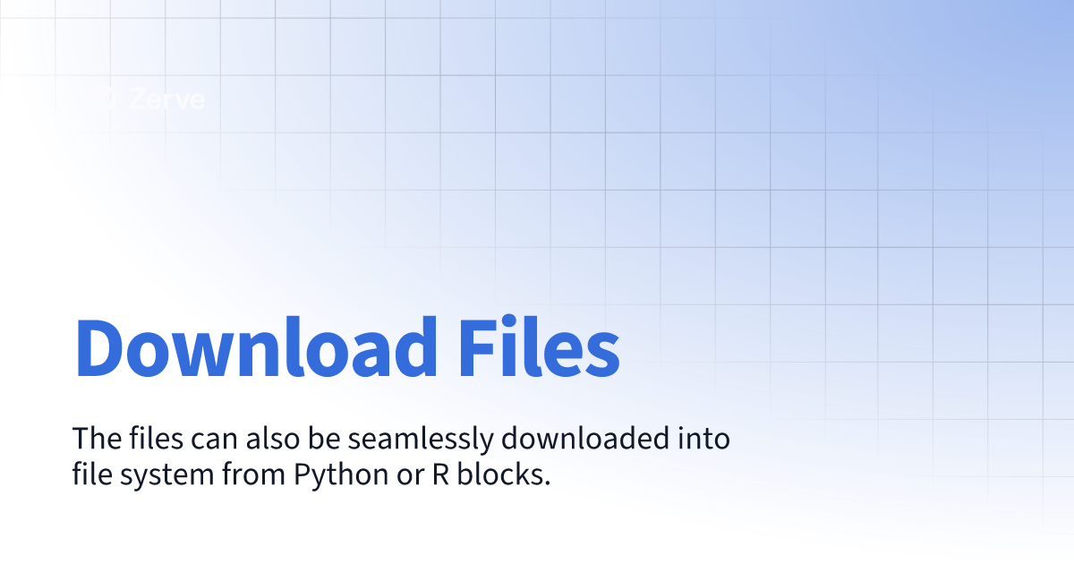 Download Files | Zerve User Documentation